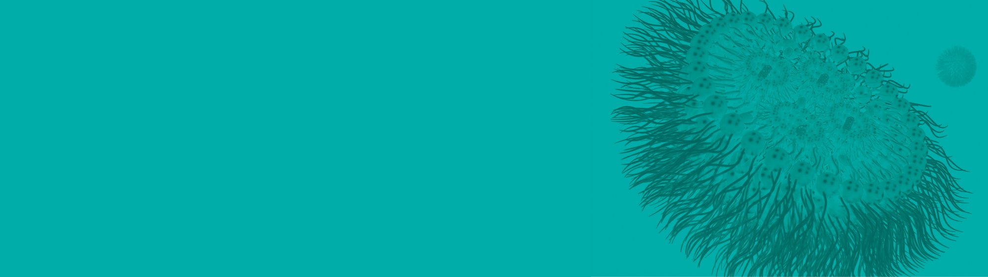 Guide - Lipid Nanoparticle Formulation: Basic Concepts & Preparation Procedures